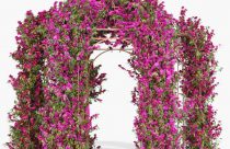 Free Sample Archmodel Vol188 | Evermotion