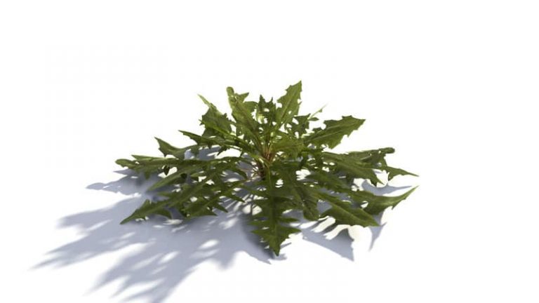 FlyingArchitecture Plants Kit vol. 1