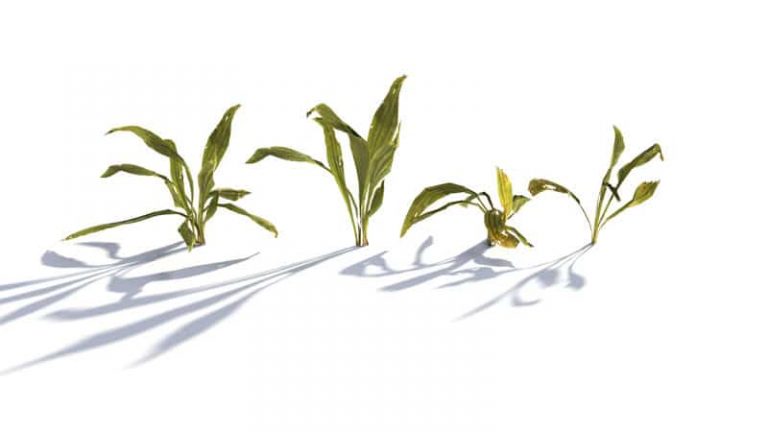 FlyingArchitecture Plants Kit vol. 1