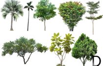 Curic Mirror 2 | Free Addon for Sketchup