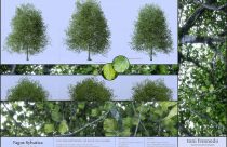 Tree It | Free 3D Tree Generator