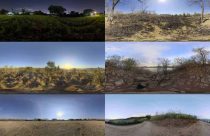 Free Textures | Texture Ninja