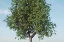 FloorGen Tools 1.2 - Make FloorGenerator even better