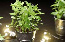 FloorGen Tools 1.2 - Make FloorGenerator even better