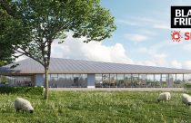 New 3DSMax script released - Backdrop Generator v1.0