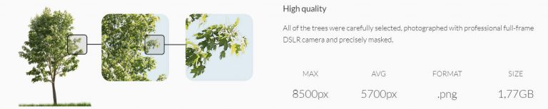 Free Cutout Tree | Cutout-Trees.com