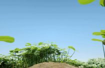 Normal Map Online | Tool of the day