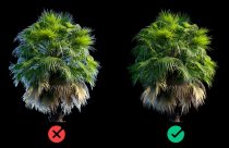 New CG-Source.com website