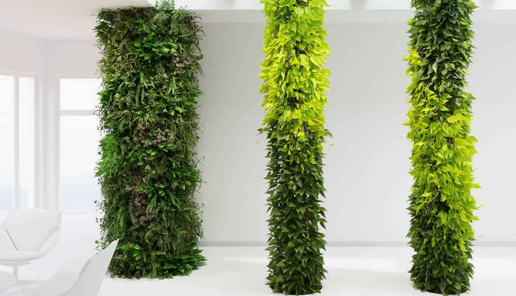 Plant Models Vol 10 Maxtree » CGTricks