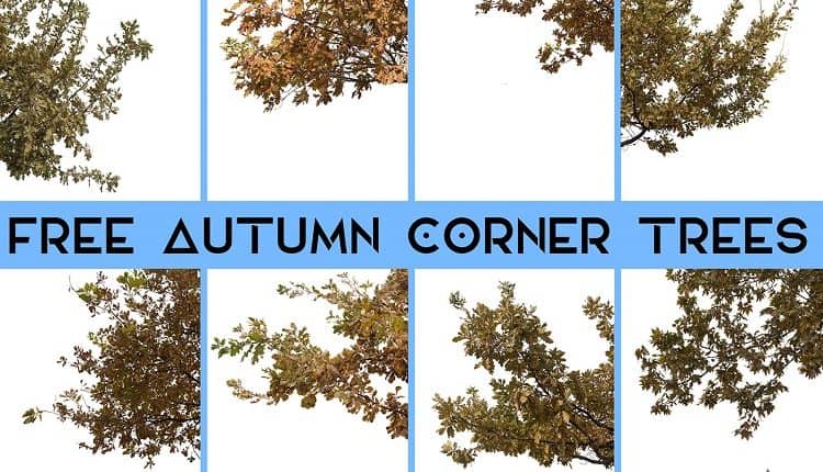 FREE AUTUMN CORNER TREES » CGTricks