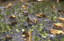 Normal Map Online | Tool of the day