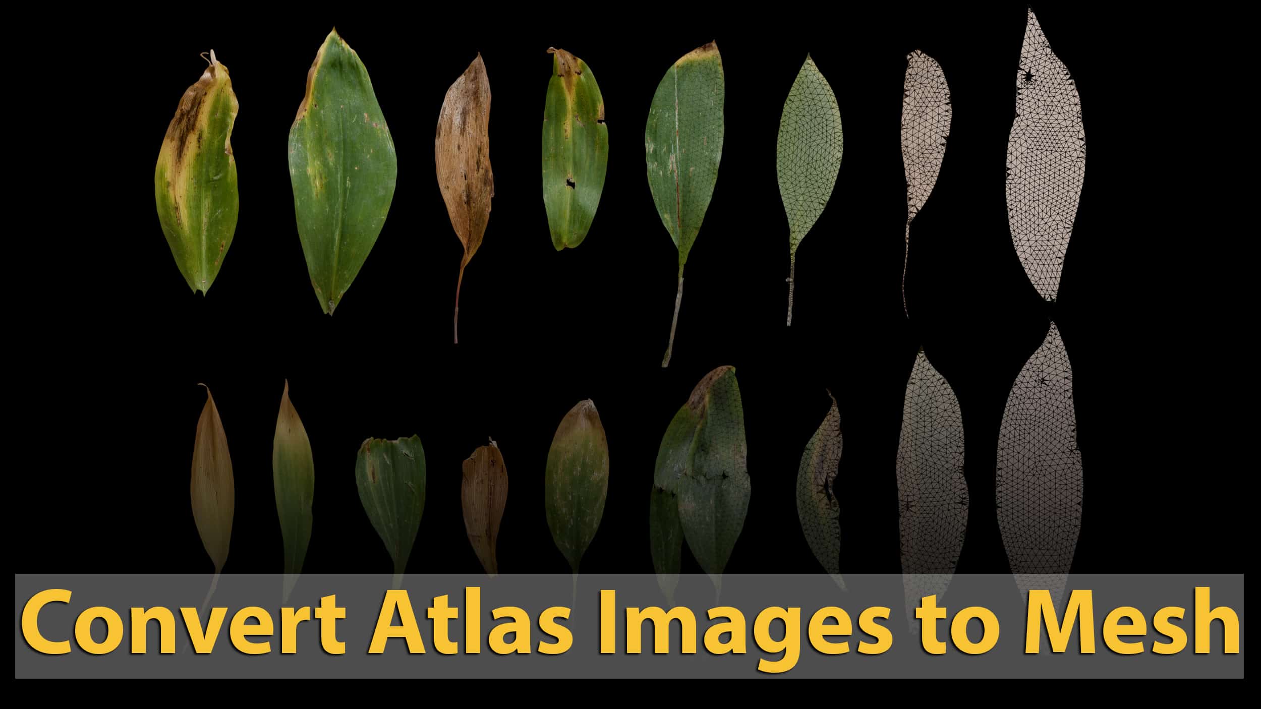 How to convert Atlas Images ( Photo scanning ) to Mesh
