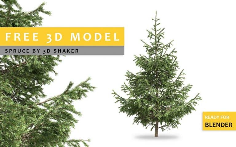 Download Free 3D Models Spruce | 3D Shaker