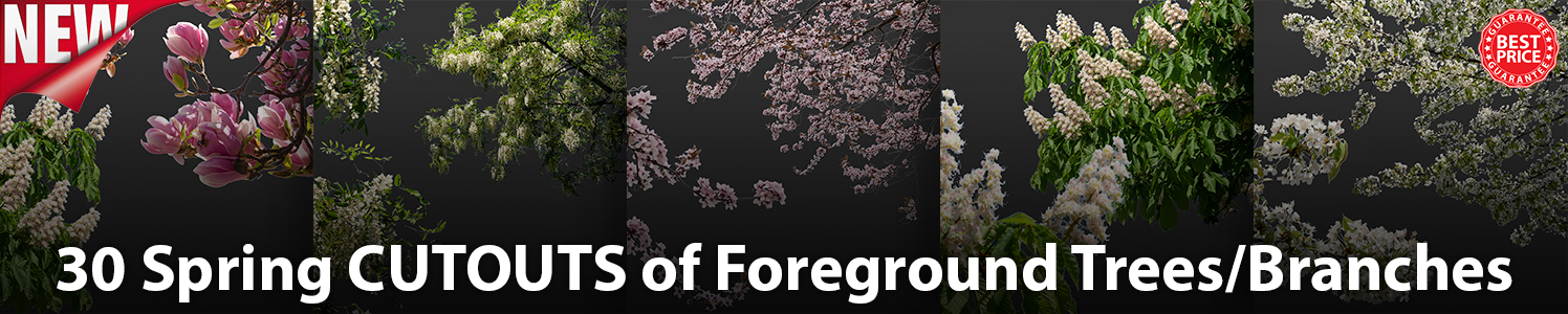 30-Spring-CUTOUTS-of-Foreground-Trees-Branches » CGTricks