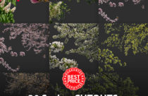 FREE - 8 Terrain Alpha Textures | Rafał Urbański