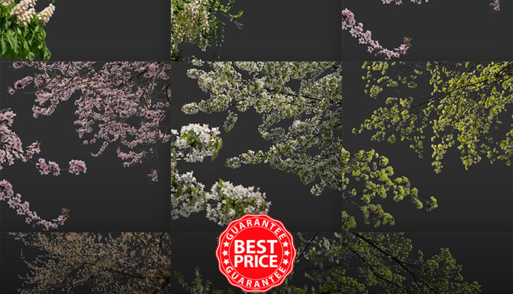 Spring-Trees-–-Cutouts » CGTricks