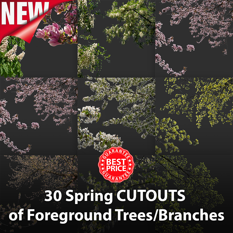 30 Spring CUTOUTS of Foreground Trees/Branches in PNG | Gamma 2.2 ...