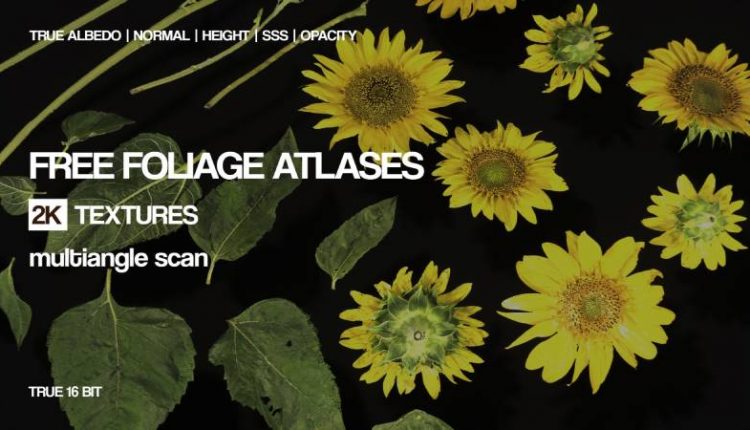 Homepage [cgtricks.com]