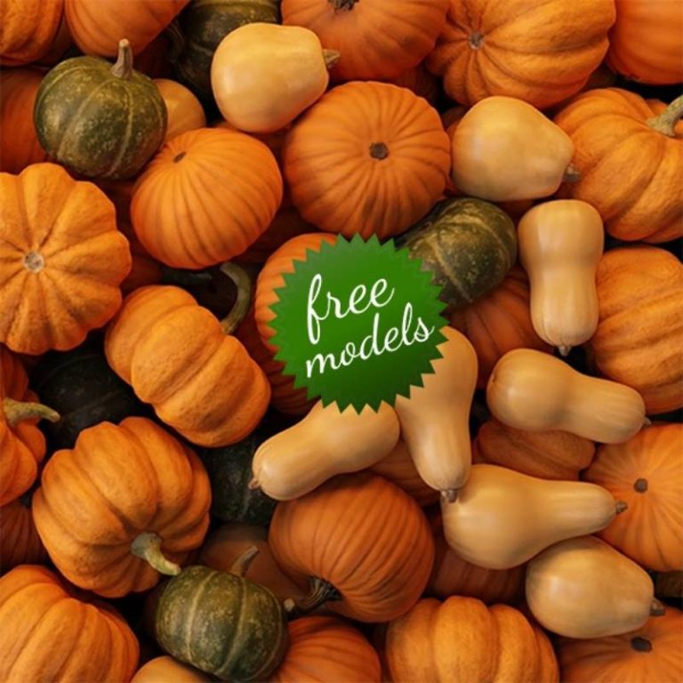 Free pumpkin models | Polygoniq