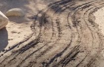 Free Products | Evermotion