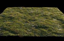 FREE - 8 Terrain Alpha Textures | Rafał Urbański