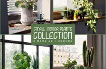 Curic Mirror 2 | Free Addon for Sketchup