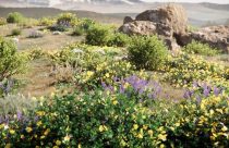 Curic Mirror 2 | Free Addon for Sketchup